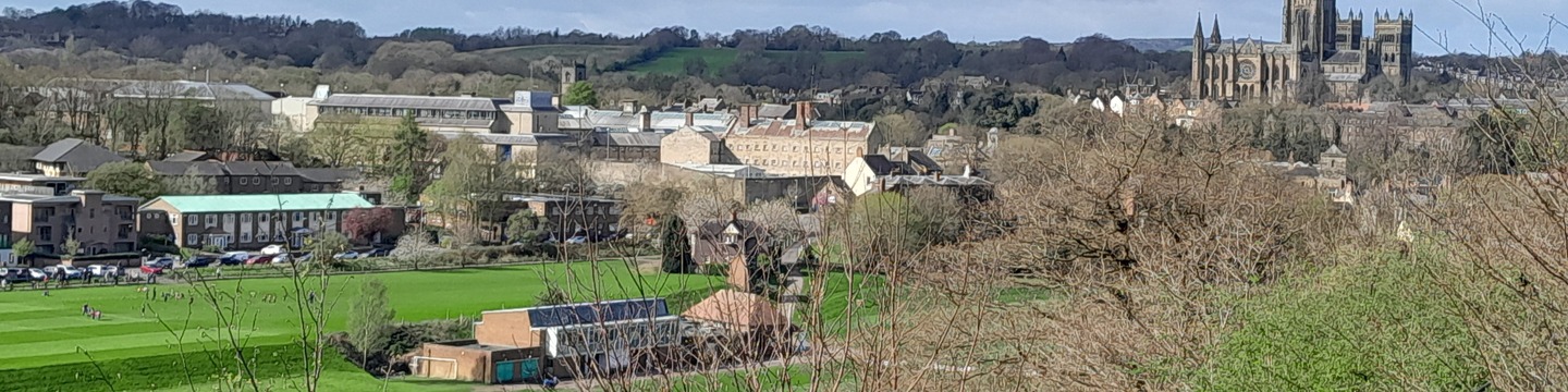 Project: Strategic Overview and Management Strategy | Durham County Council